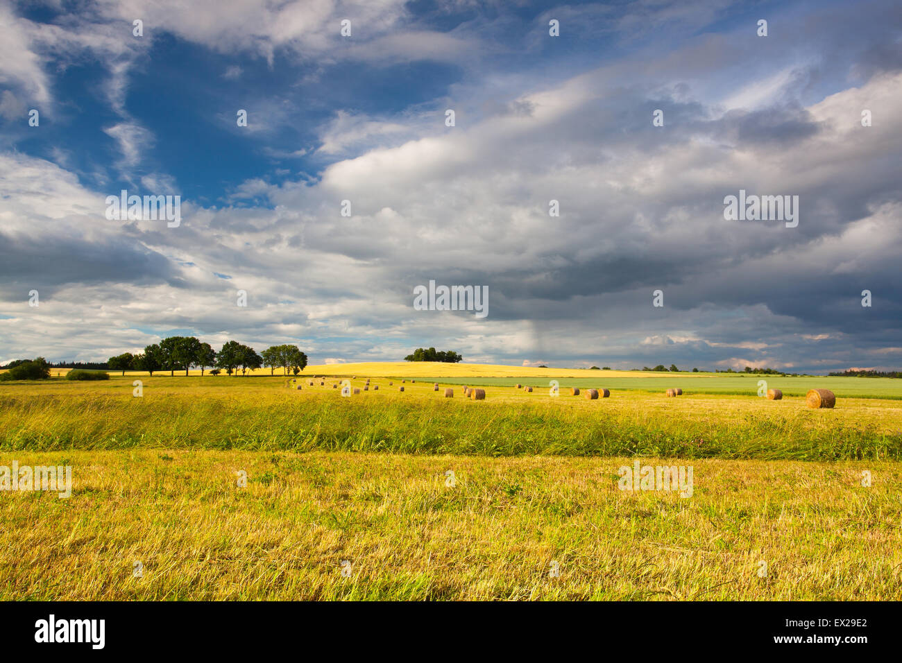 Harvest time and summer landscape after a storm Stock Photo - Alamy
