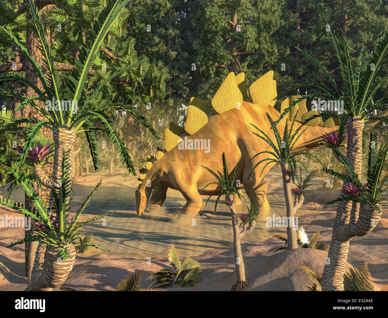 One stegosaurus dinosaur drinking water in a pond among wollemia and ...