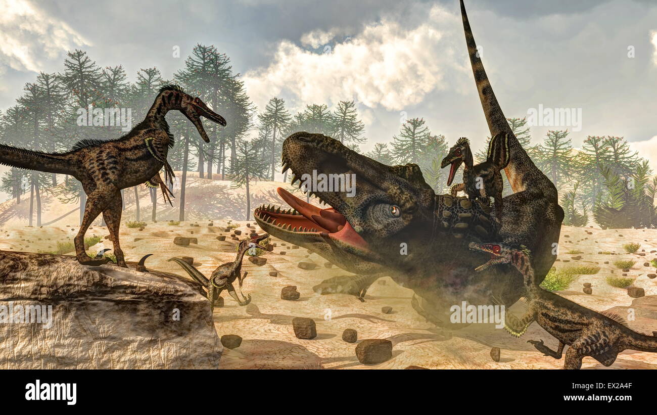 Tarbosaurus attacked by velociraptor dinosaurs next to nipa plants and ...