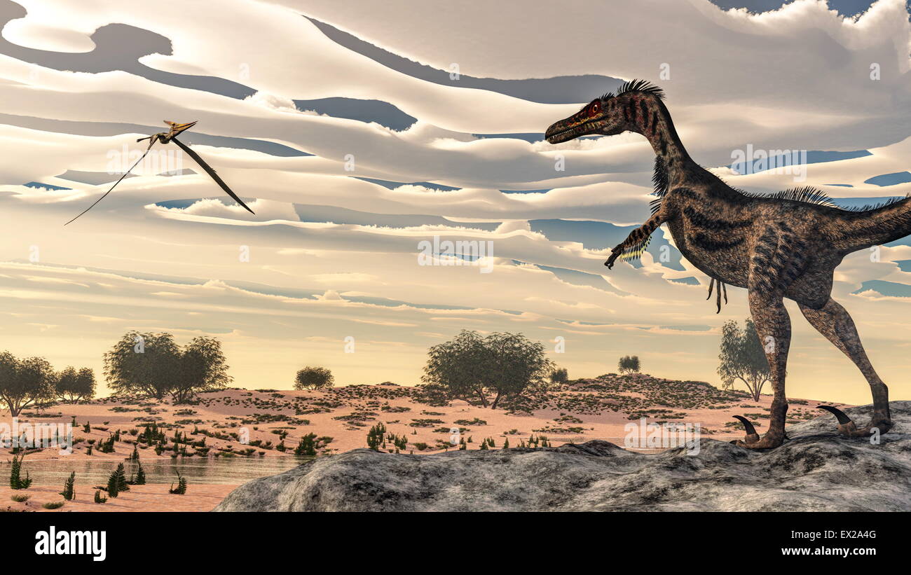 Velociraptor dinosaur observing pteranodon flying in the desert with ...