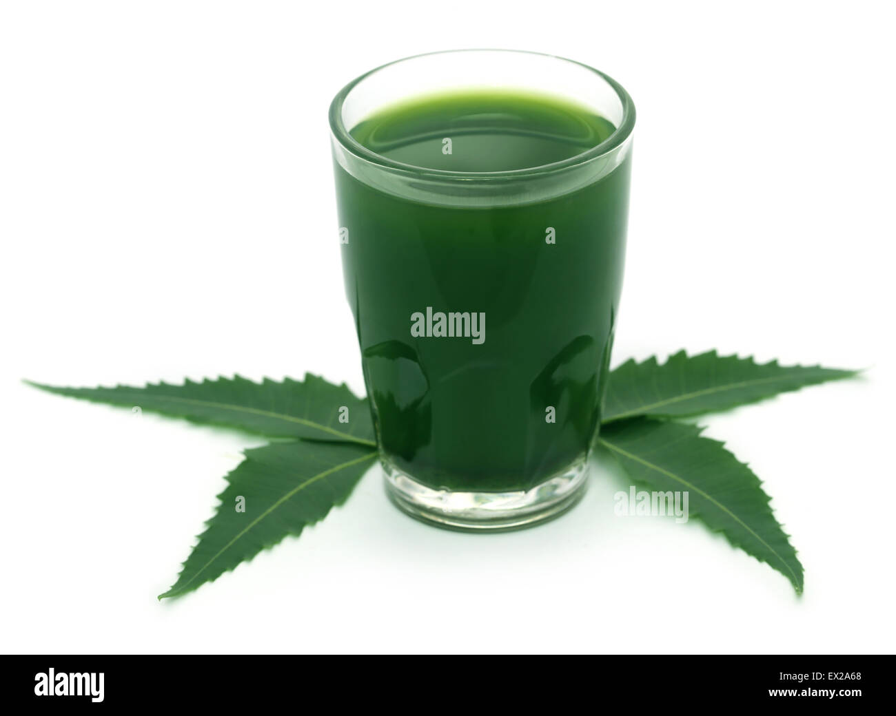 Medicinal neem leaves with extract over white background Stock Photo ...