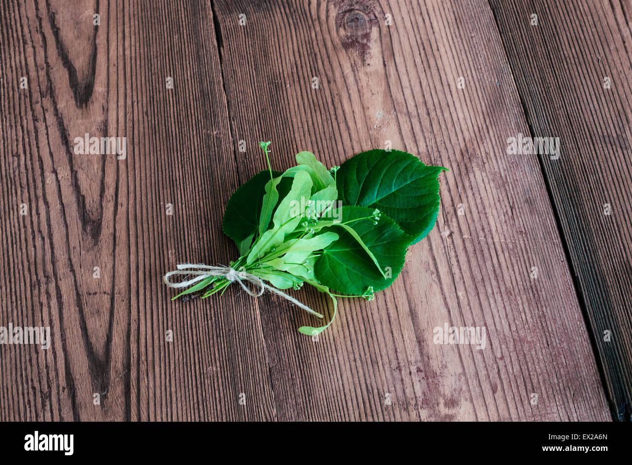 fresh string bud green herbs linden wooden brown table Stock Photo - Alamy