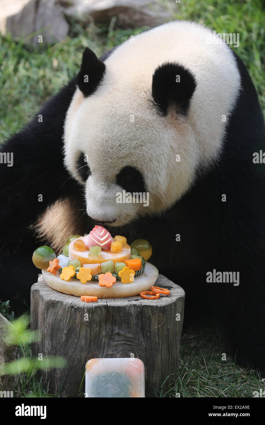 Pandas Eating Cake