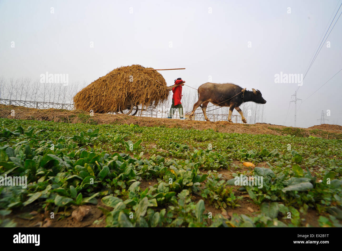 Farmer works field on outskirts hi-res stock photography and images - Alamy