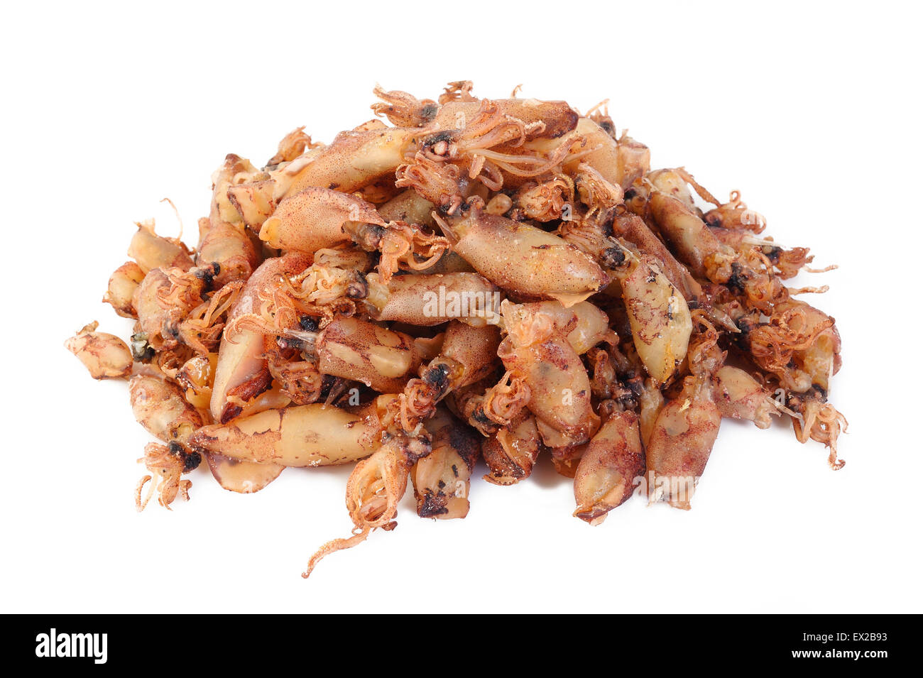 Beka squid on white background Stock Photo - Alamy