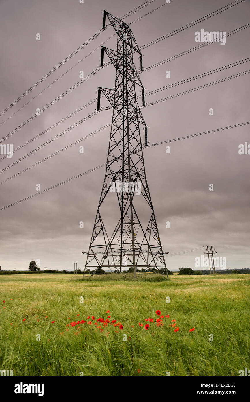 Electricity pylons in a british farming field hi-res stock photography ...