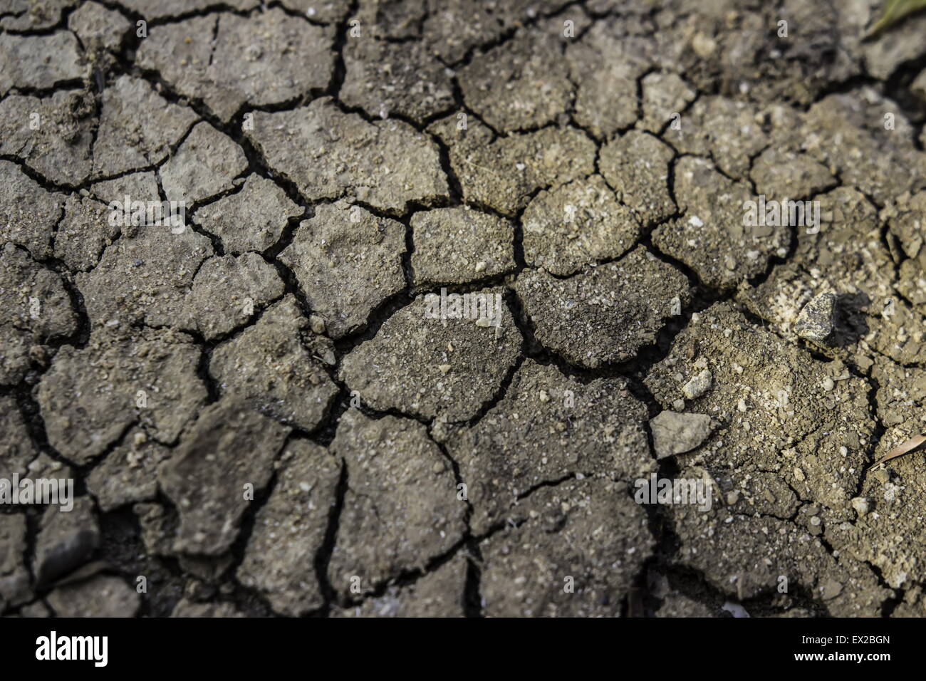 cracked ground soil background Stock Photo - Alamy