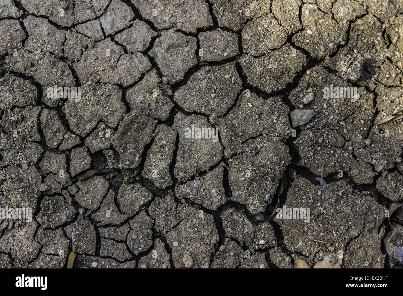 cracked ground soil background Stock Photo - Alamy