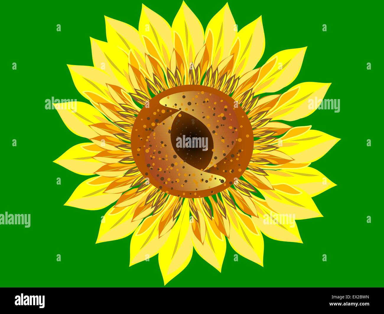 Flo background Stock Vector Images - Alamy