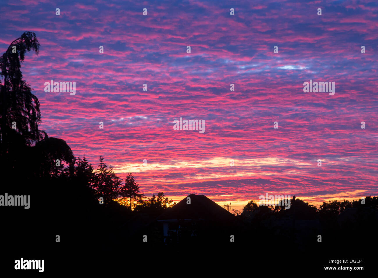 Pink and orange sunset, England Stock Photo - Alamy
