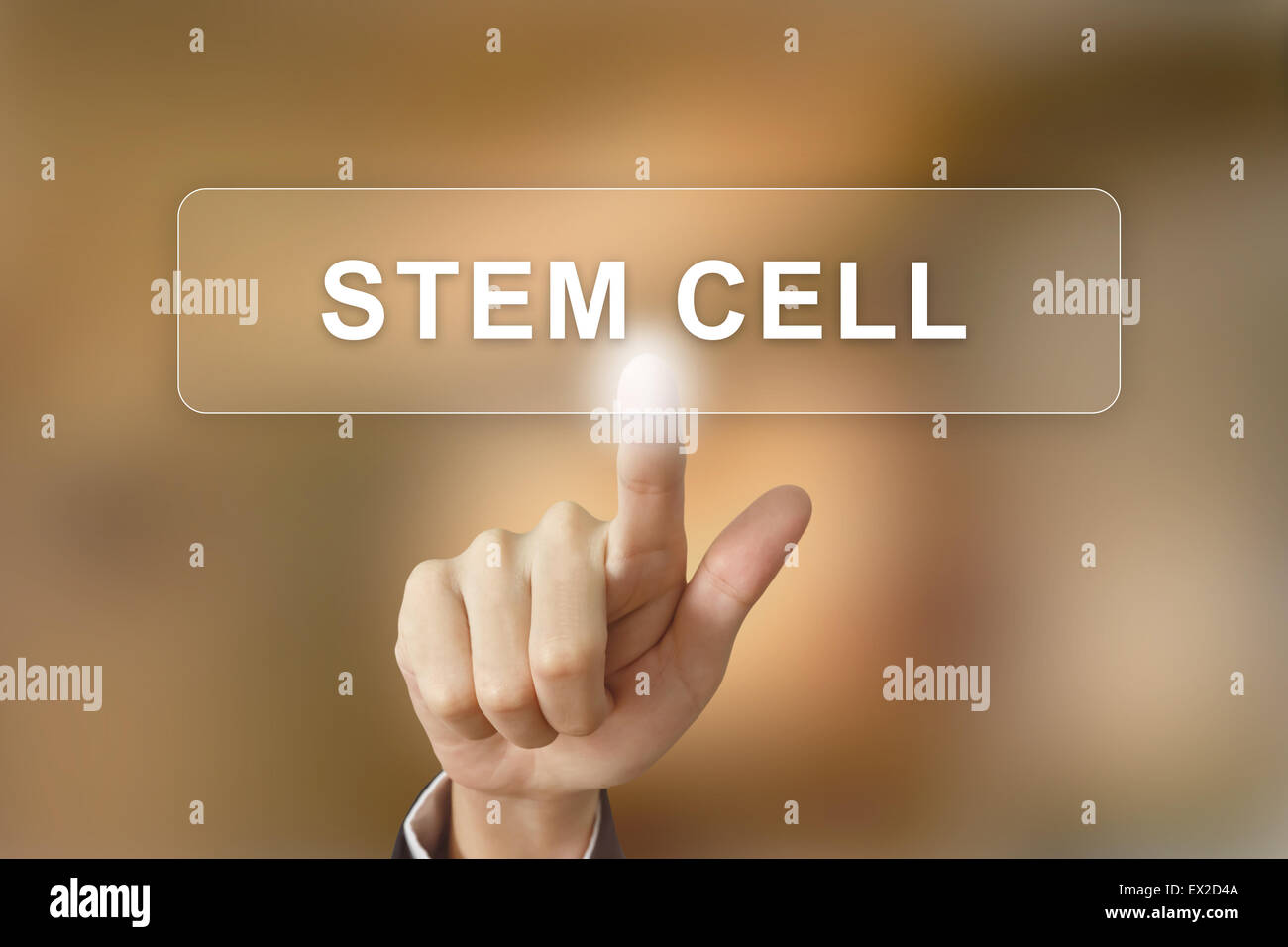 business hand pushing stem cell button on blurred background Stock ...