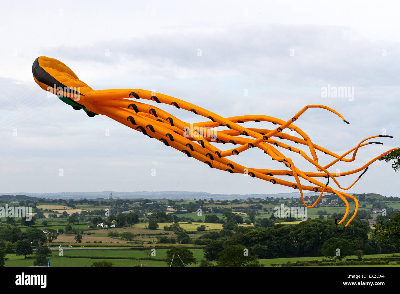 Northern kite group hi-res stock photography and images - Alamy