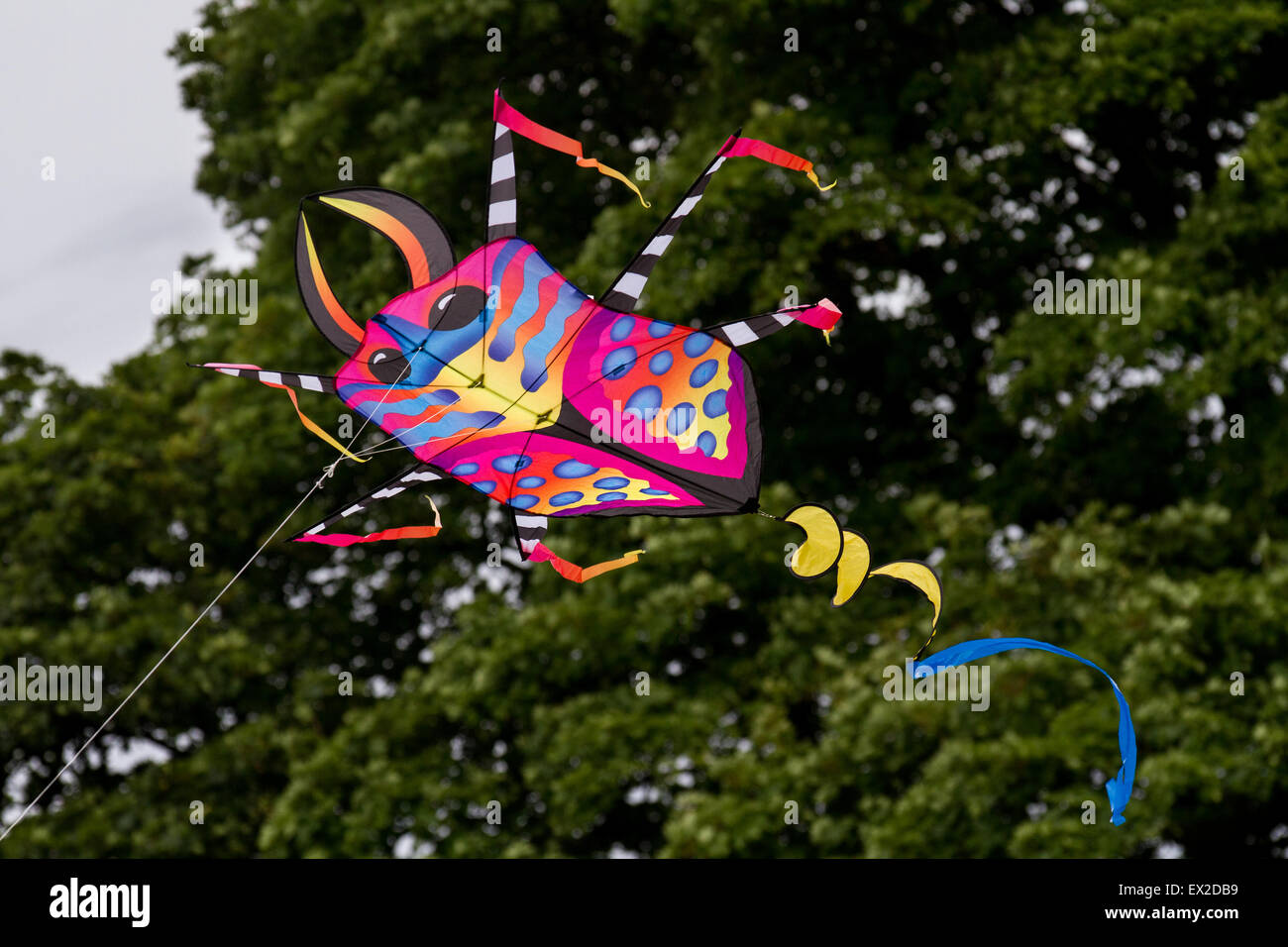 Flying parafauna hi-res stock photography and images - Alamy
