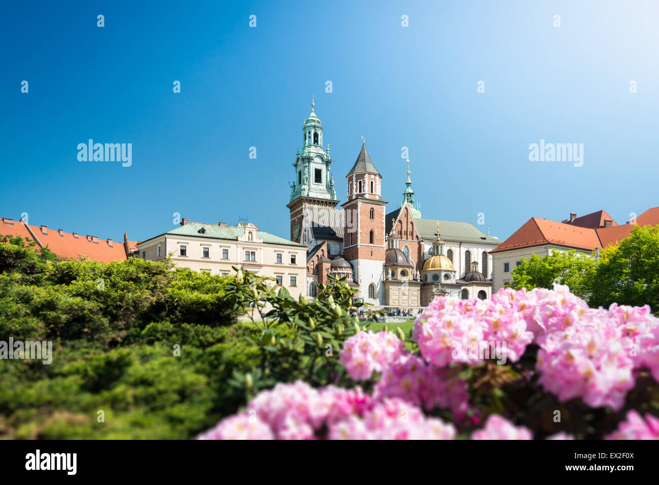 Krakow trees hi-res stock photography and images - Alamy
