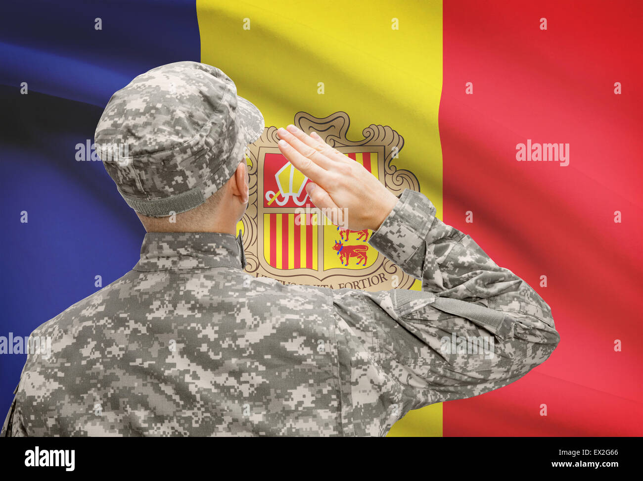 National military forces with flag on background conceptual series ...
