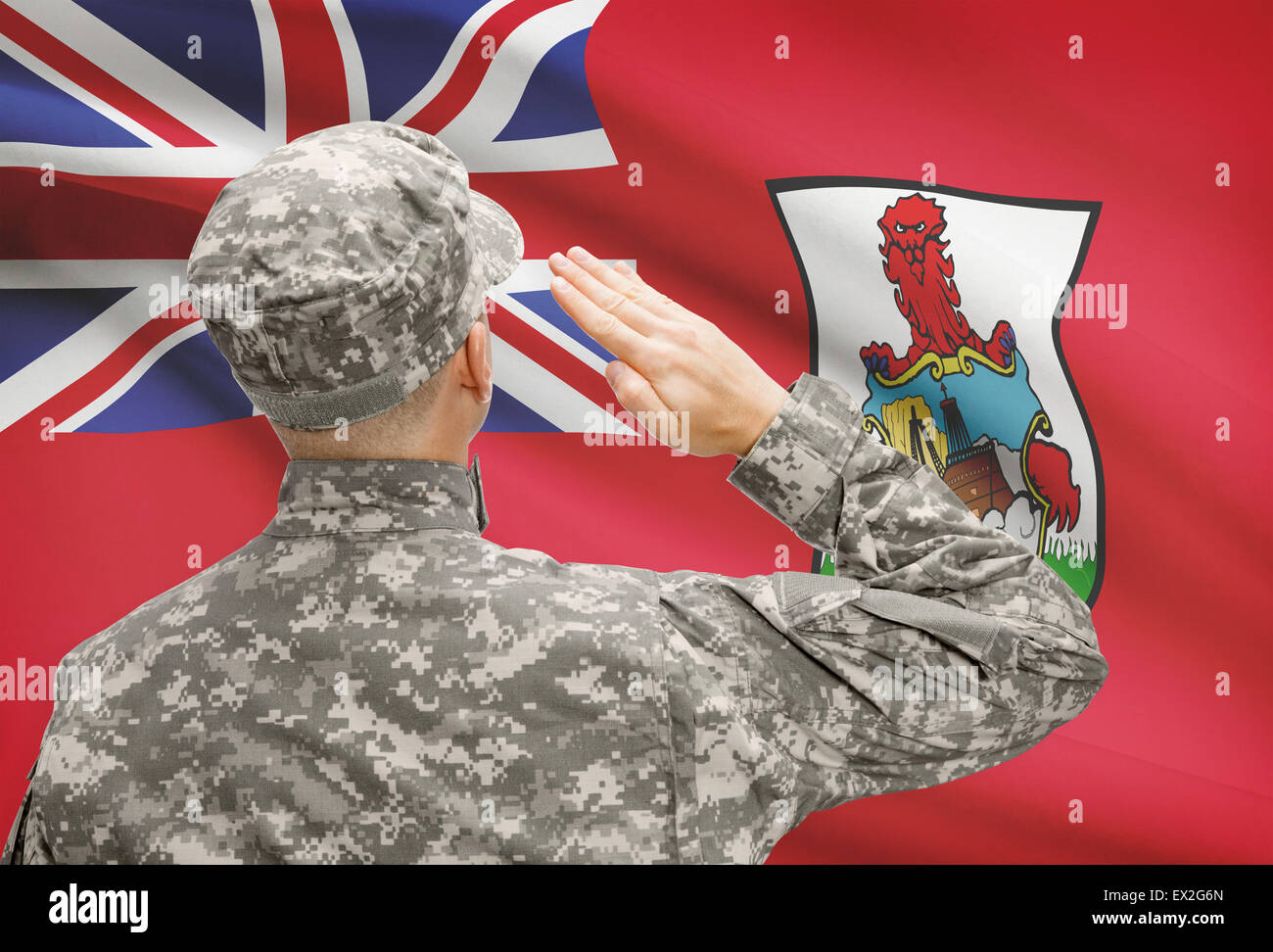 National military forces with flag on background conceptual series ...