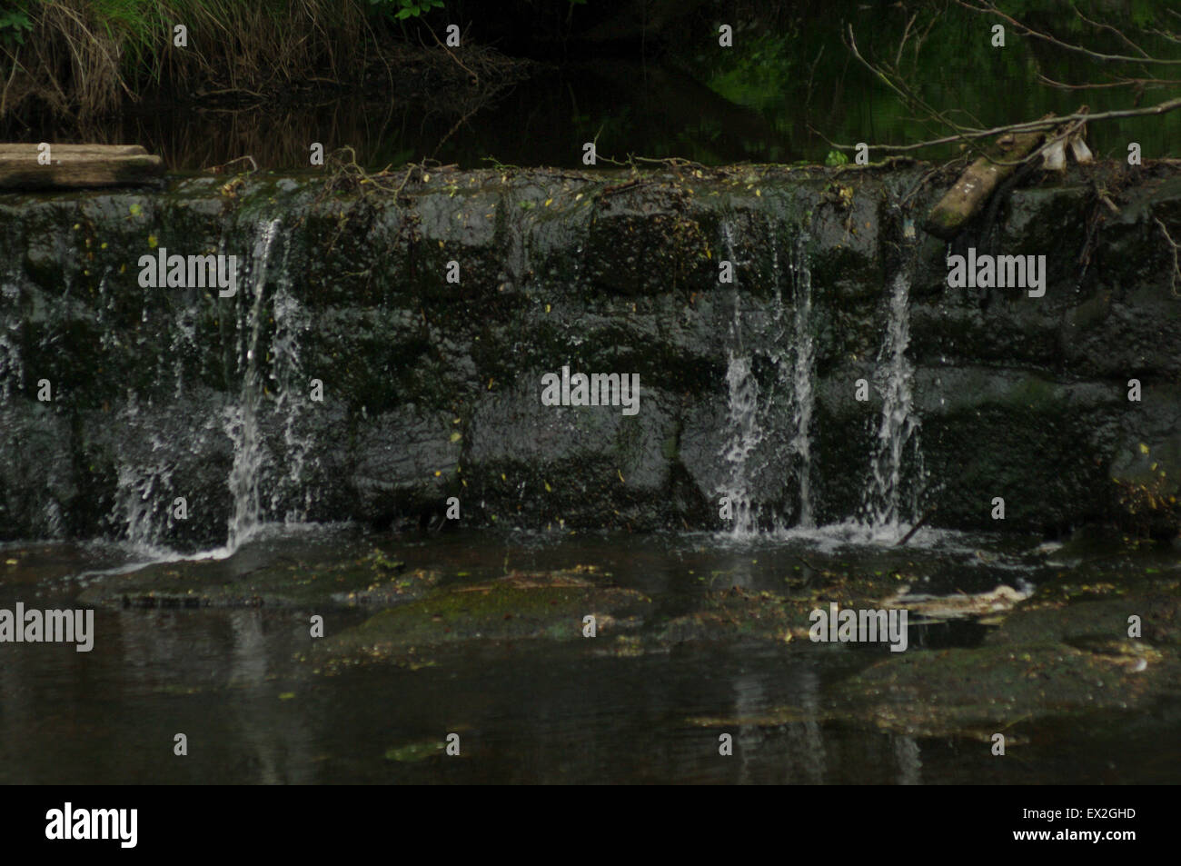 River,Esk,Waterfall,Goathland,trees,River,Esk,Waterfall,Goathland,trees ...