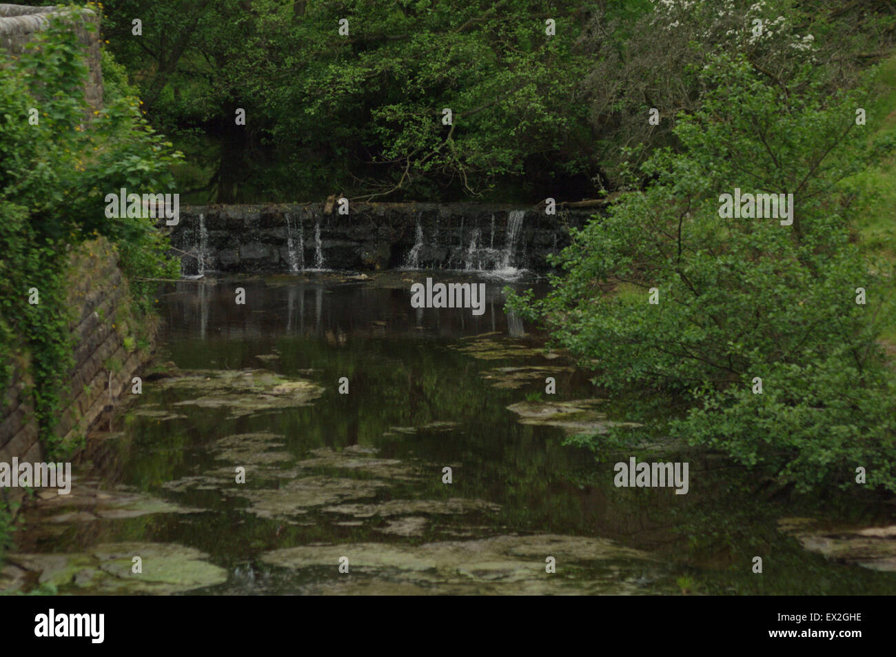 River,Esk,Waterfall,Goathland,trees,River,Esk,Waterfall,Goathland,trees ...