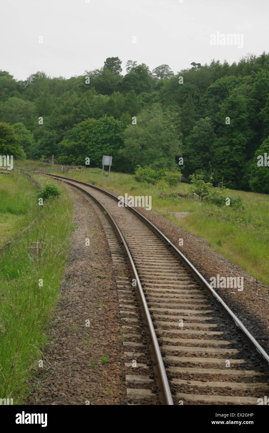 Railway,Tracks,Grassland,forest,Steam,North,Railway,Tracks,Grassland ...