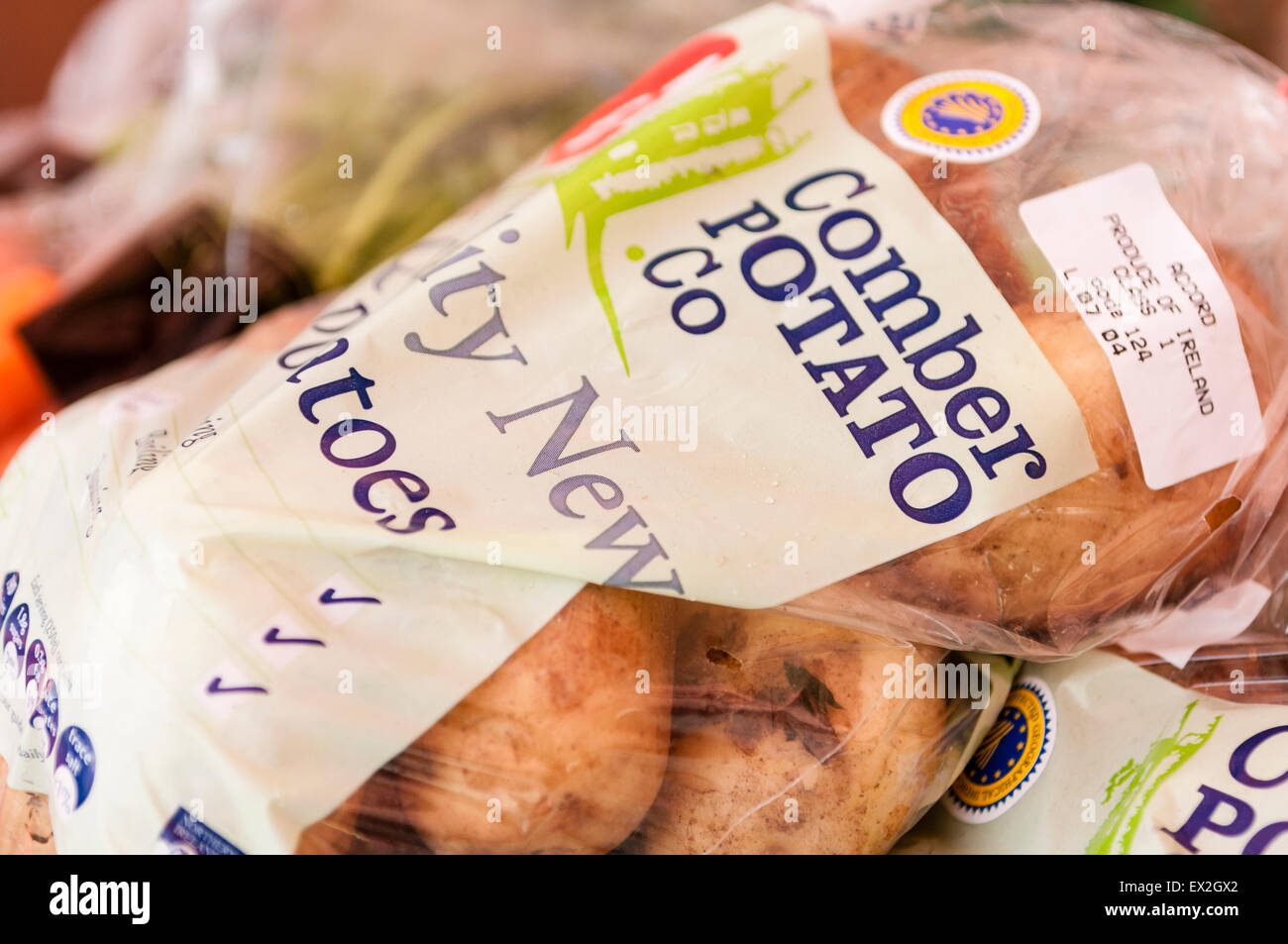 Comber earlies food festival hi-res stock photography and images - Alamy