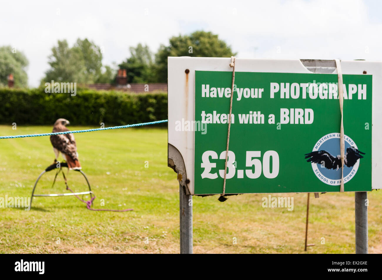 Bird snap hi-res stock photography and images - Alamy