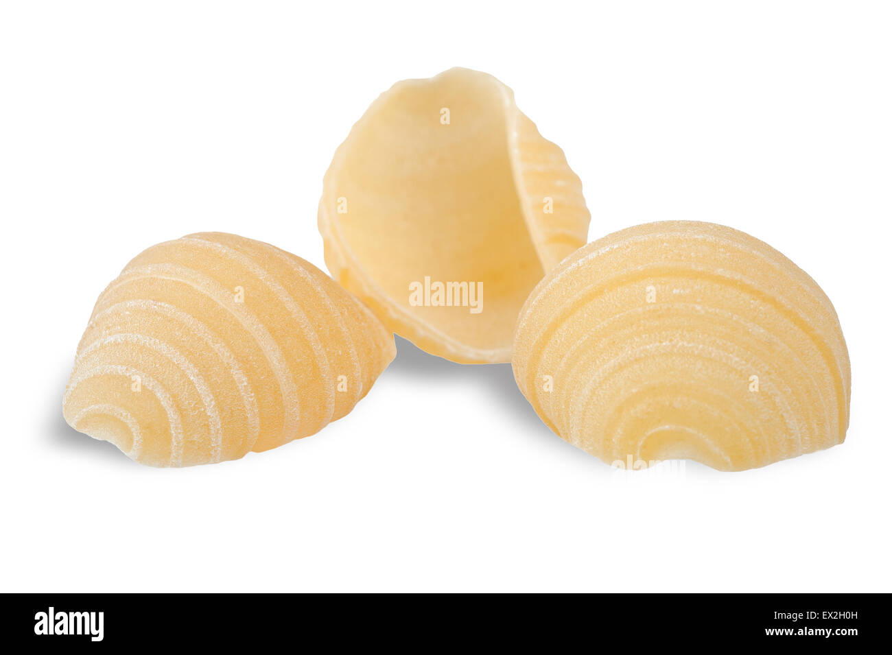 Conchiglie hi-res stock photography and images - Alamy