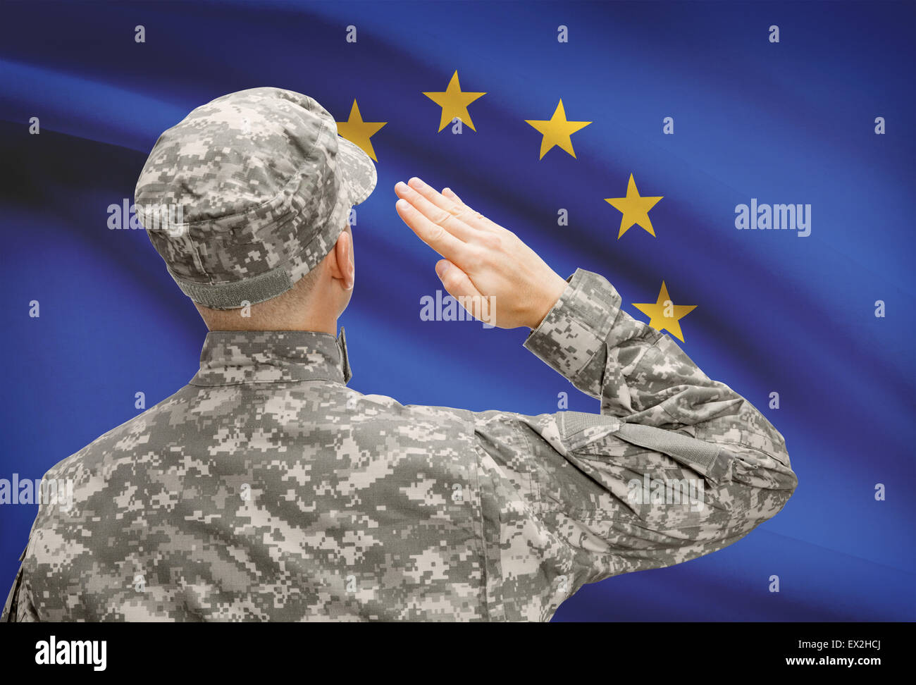 National military forces with flag on background conceptual series ...