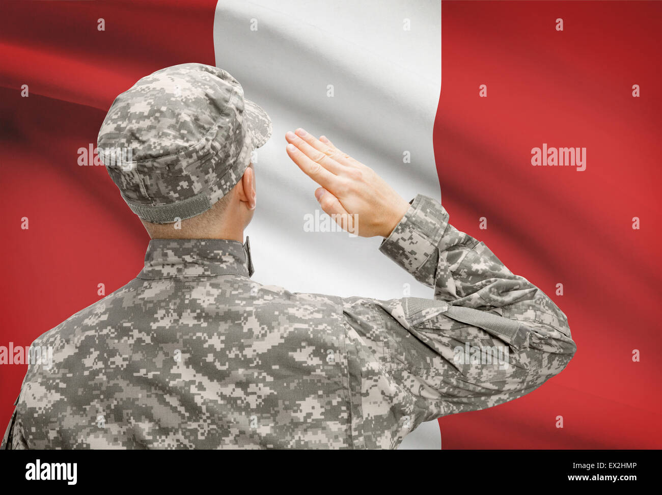 National military forces with flag on background conceptual series ...