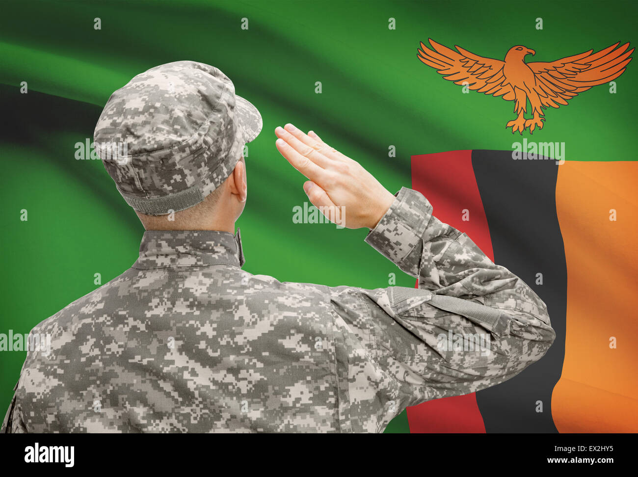 National military forces with flag on background conceptual series ...