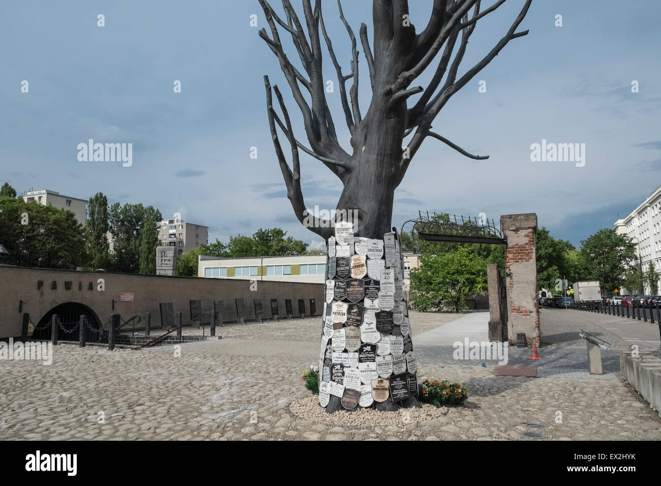 Memorial tree on site of the former Pawiak prison, Warsaw, Poland Stock ...