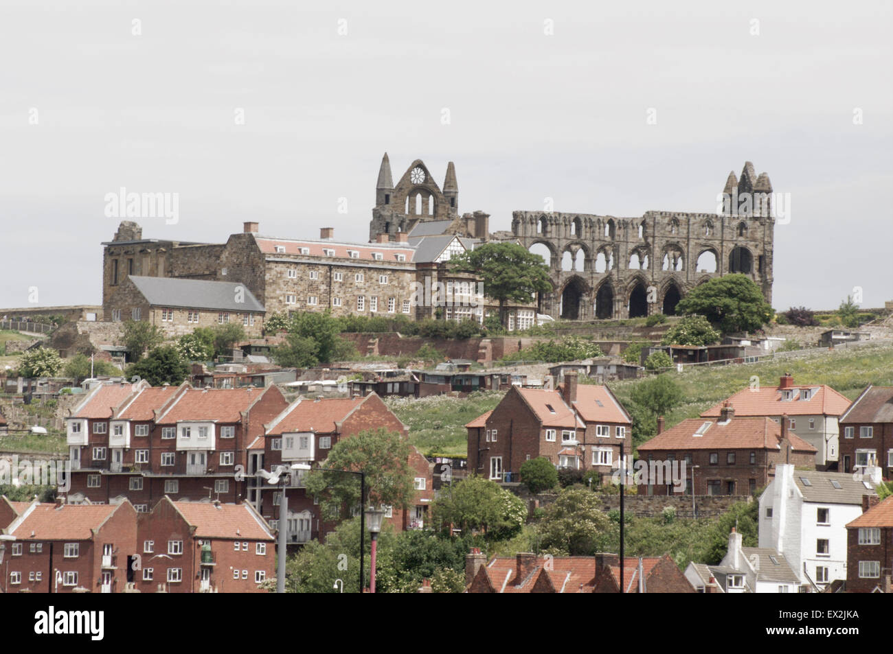 Whitby Castle Ruins,Whitby,Whitby Castle Ruins,Whitby Natural lighting ...