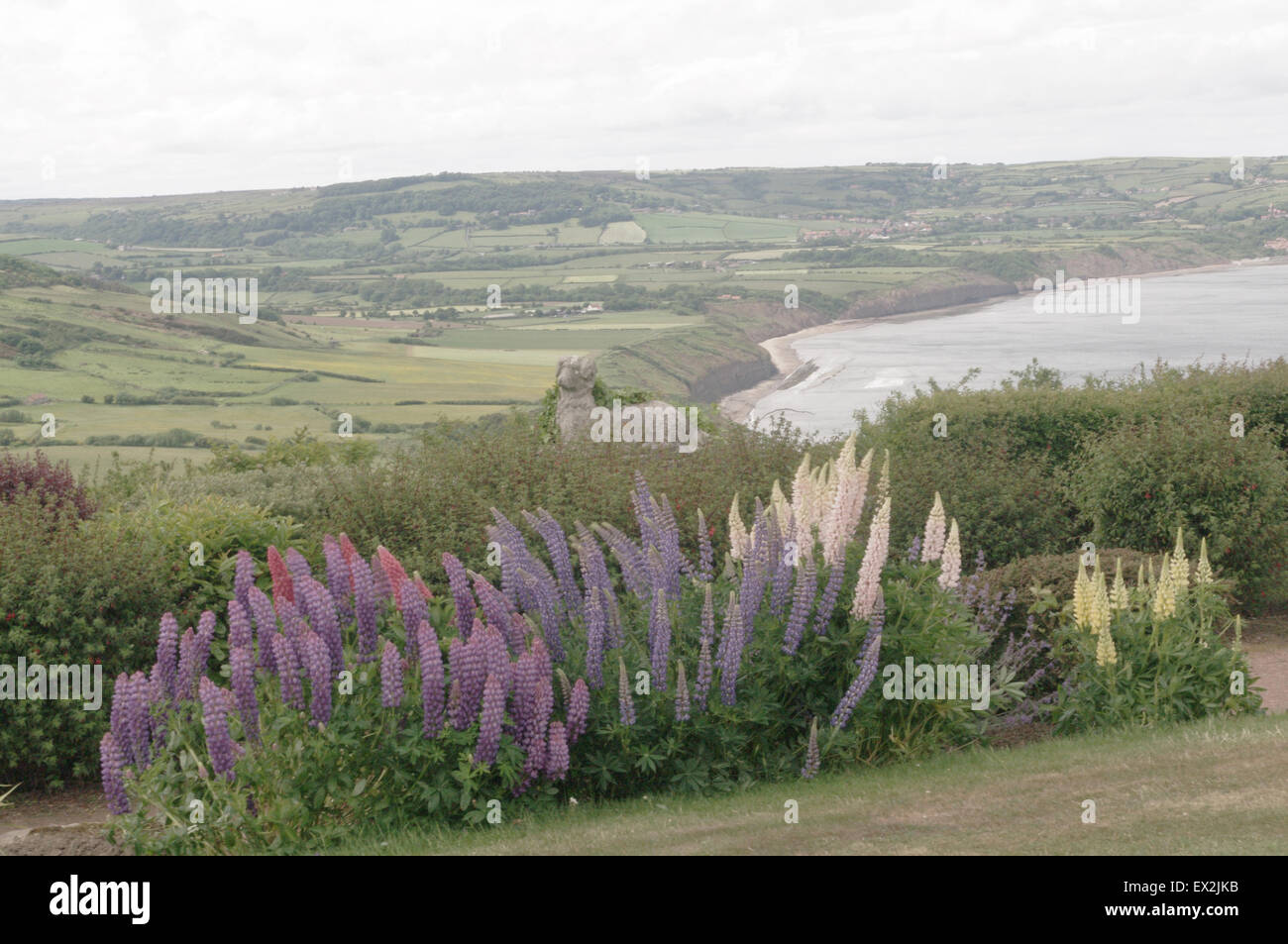 Overlooking robin hoods bay hi-res stock photography and images - Alamy