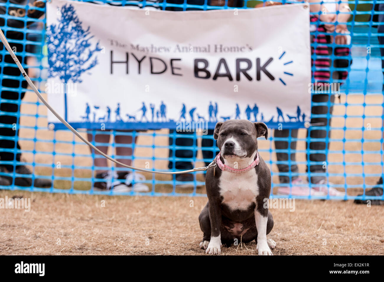 London, UK. 5 July 2015. Visitors brought their furry friends to Hyde Park to an event known as ...