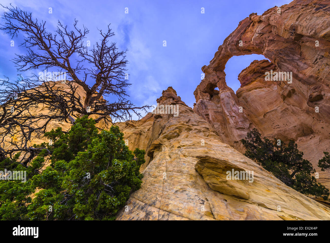 Grosvenor Arch sandstone double arch located within Grand Staircase ...