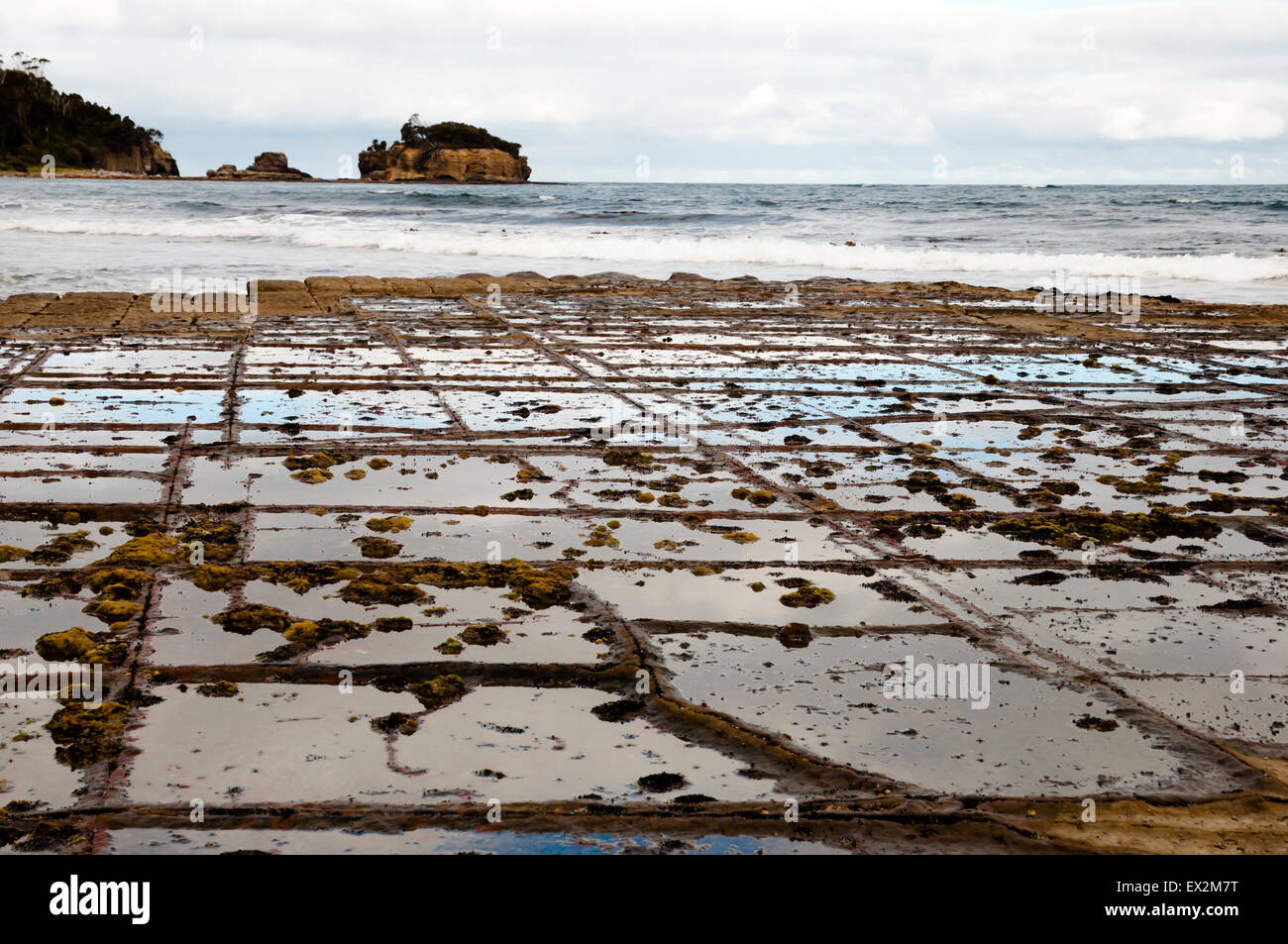 Tessellated Pavement - Tasmania Stock Photo - Alamy