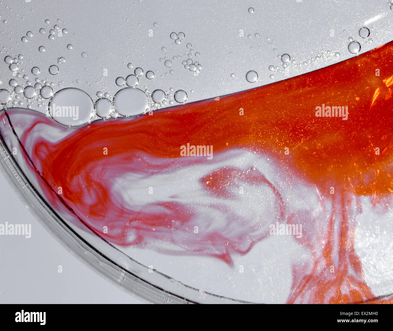 Petri dish blood red hi-res stock photography and images - Alamy