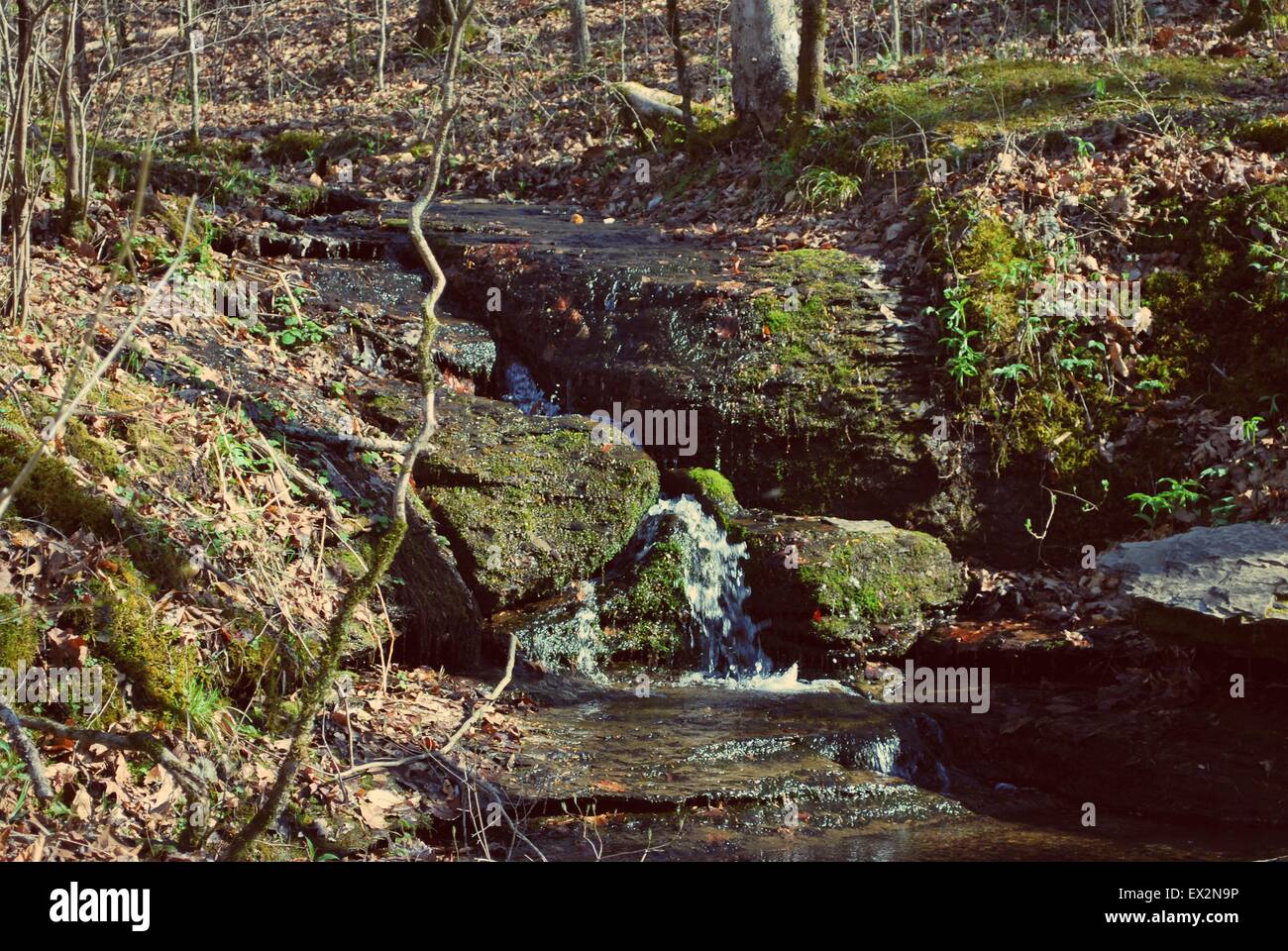Rainwater stream hi-res stock photography and images - Alamy