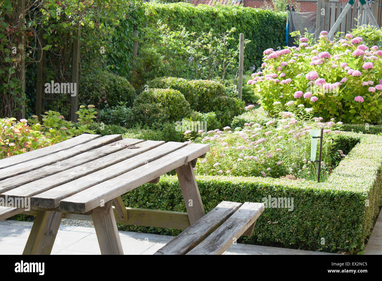 beautiful garden with evergreen boxwood plants Stock Photo - Alamy