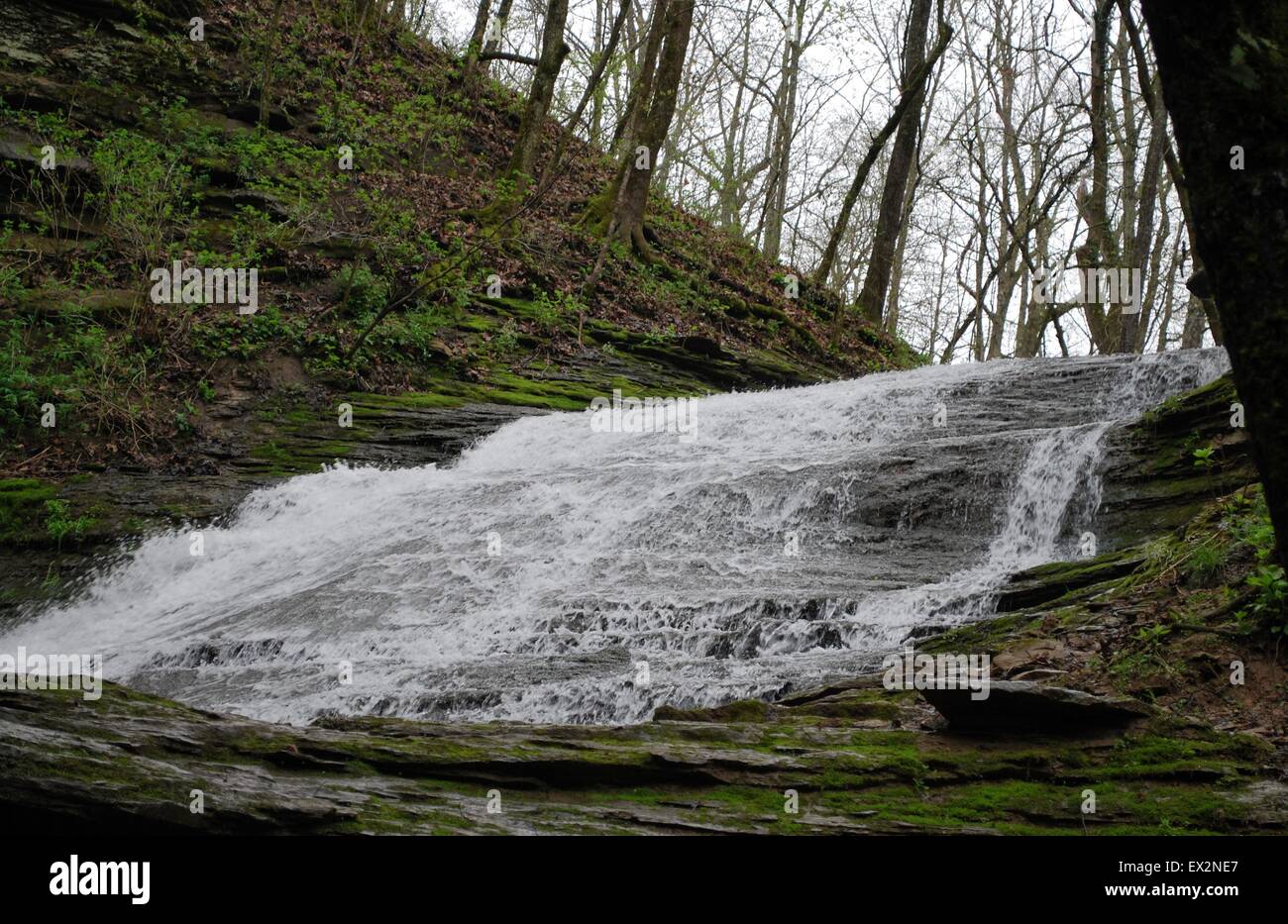 This photo was taken in Jackson Falls TN Stock Photo - Alamy