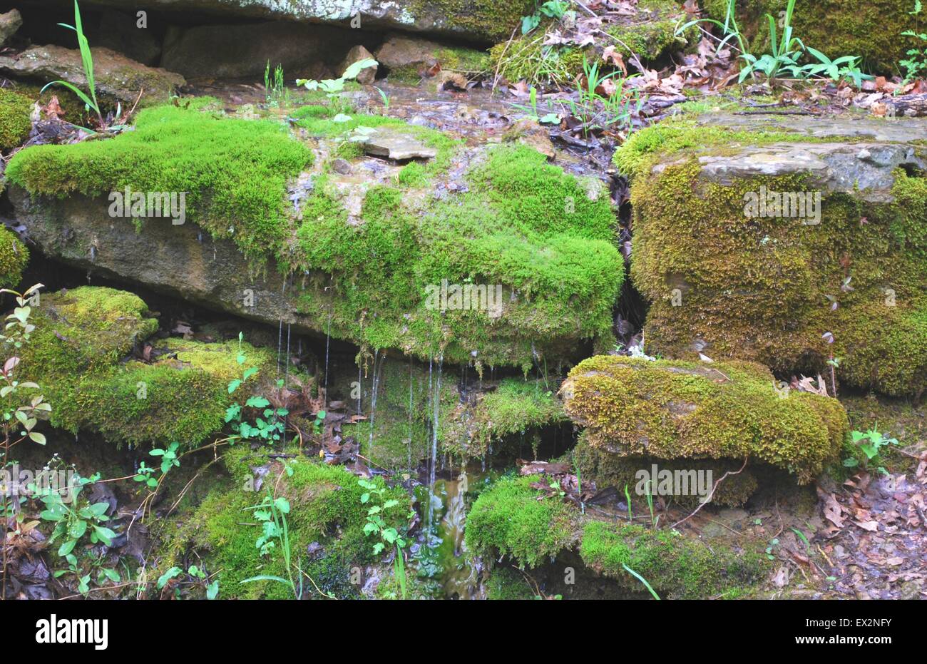 A beautiful rock formation with freshly falling rain streaming down to ...