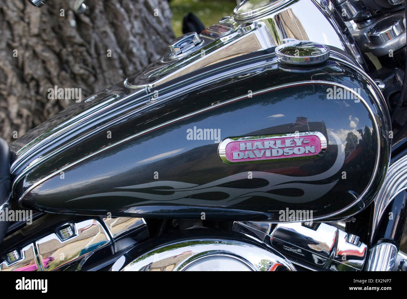 Fuel Tank on a Harley Davidson motorcycle Abstract Stock Photo - Alamy