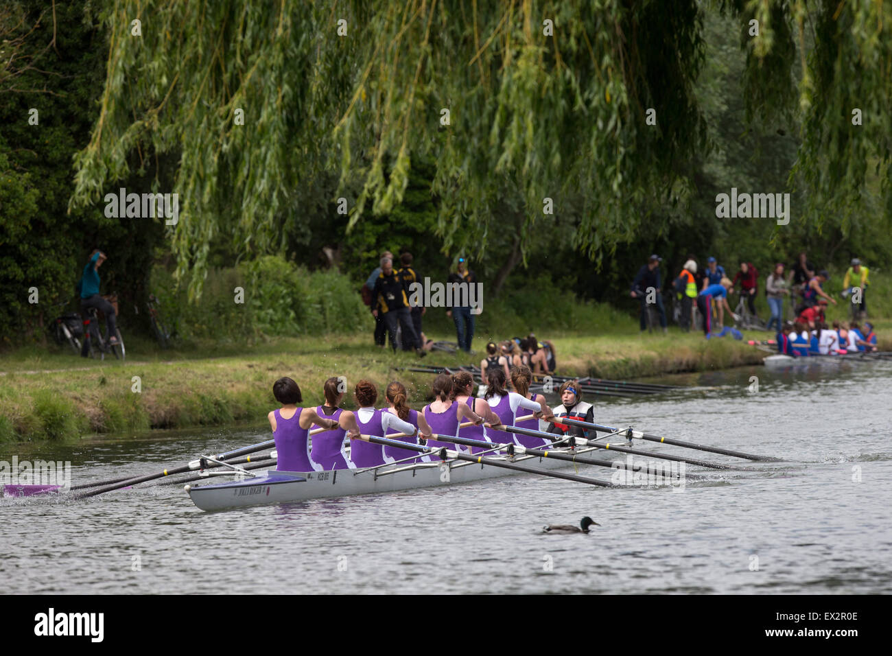 Cambridge University students taking part in the May Bumps on the River ...