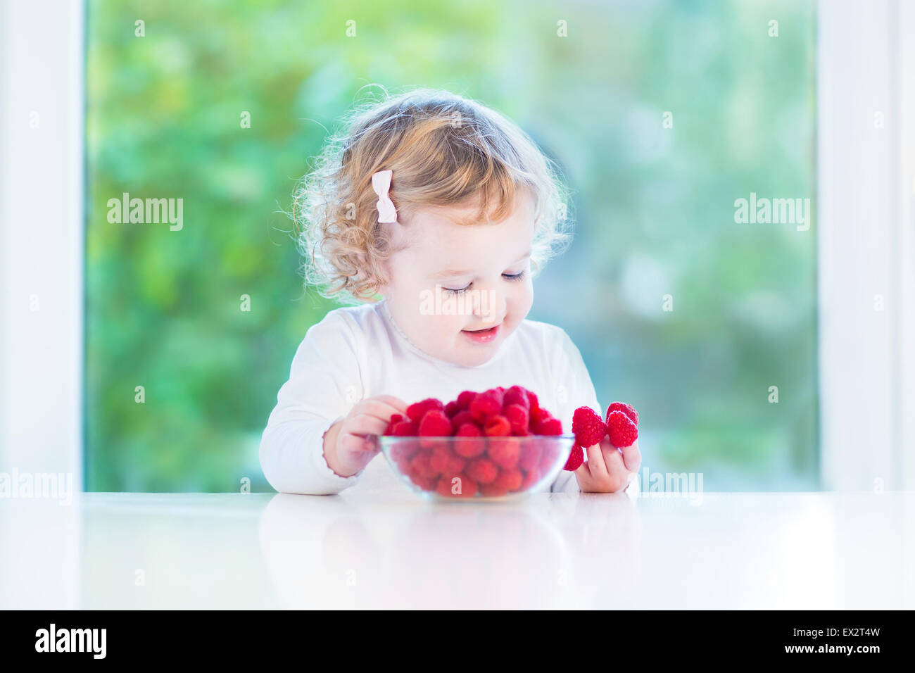 Cute toddler girl eating raspberries in a dining room with a big window ...