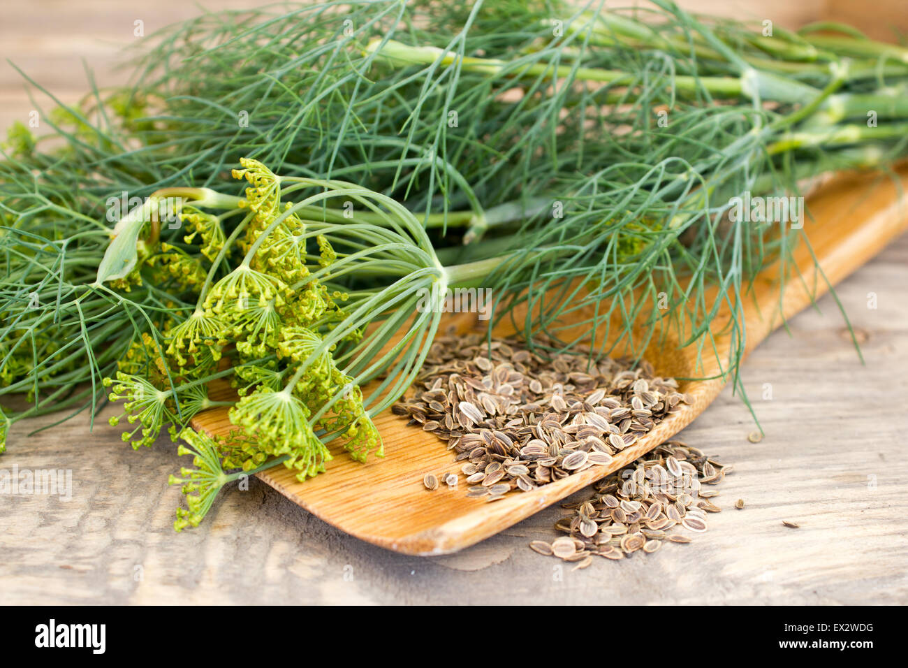 Zira jeera hi-res stock photography and images - Alamy