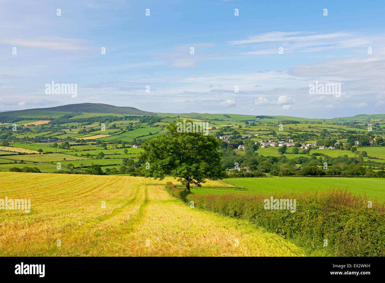 Landscape, looking towards the village of Ireby, Cumbria, England UK ...