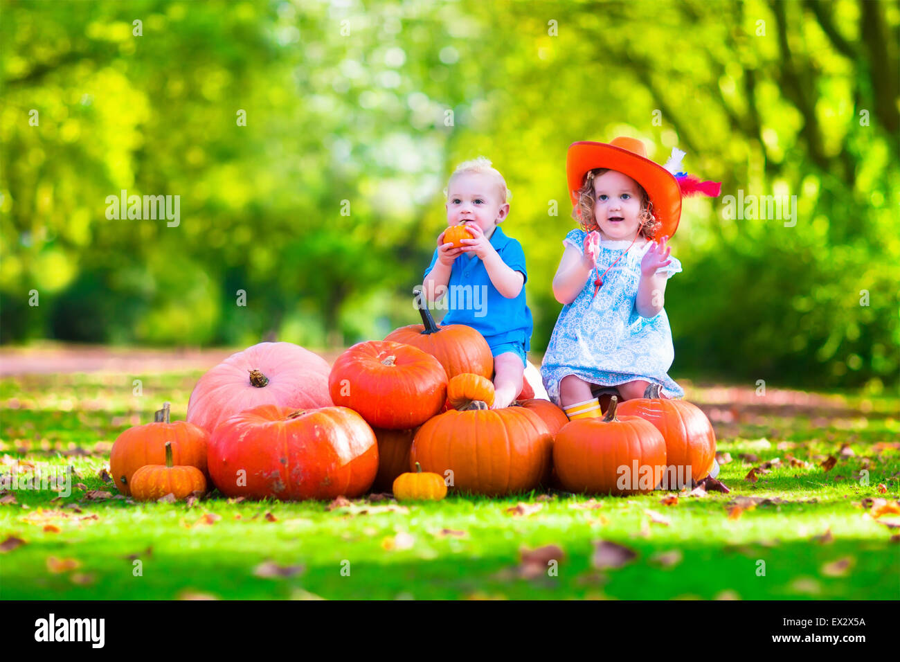 Kids playing at pumpkin patch at Halloween. Children play and pick ...