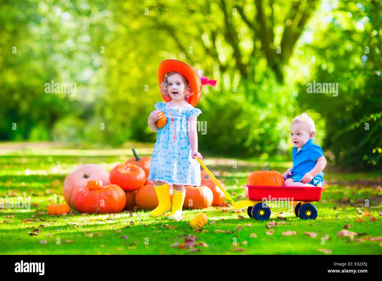 Kids playing at pumpkin patch at Halloween. Children play and pick ...