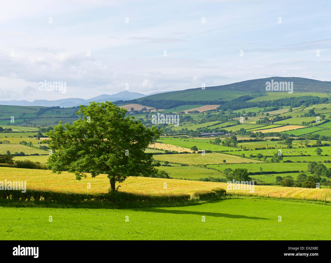 Ireby High Resolution Stock Photography and Images - Alamy