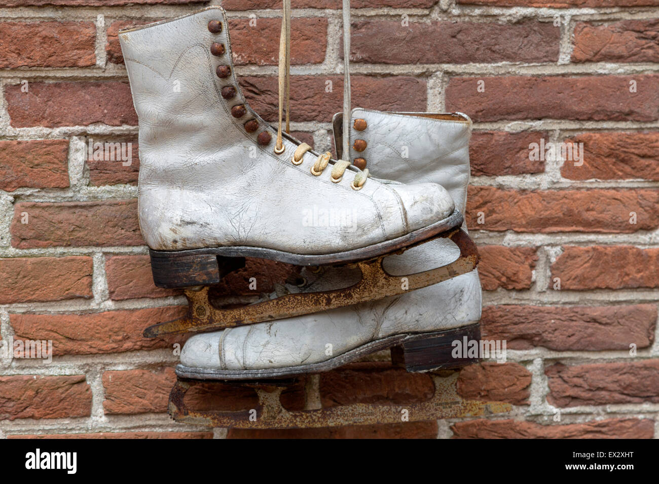 Rusty and worn figure skates hanging on a wall as a decoration in the ...