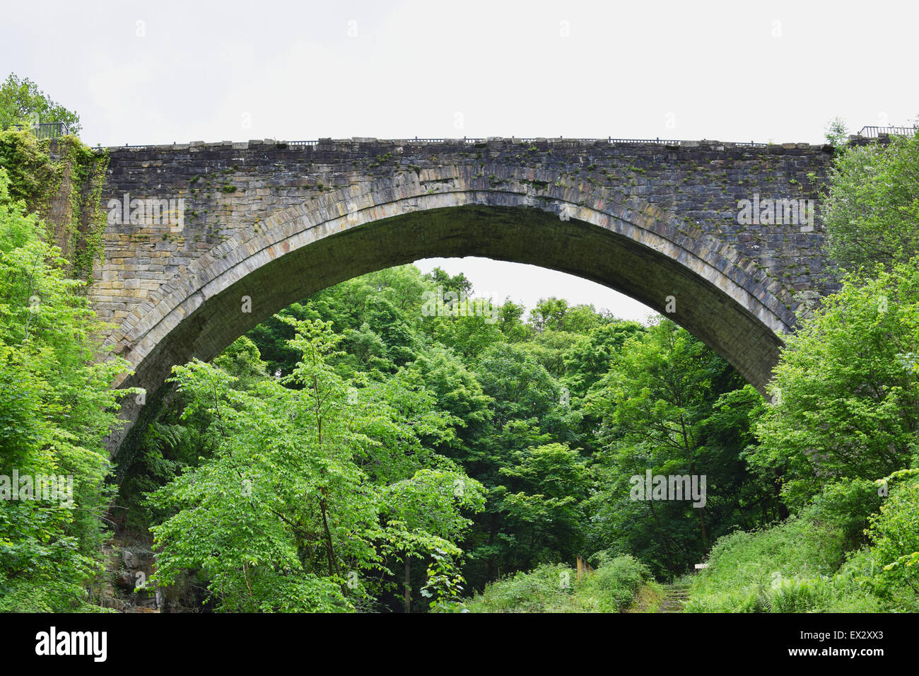 Causey Arch, the oldest surviving single arch railway bridge, near ...